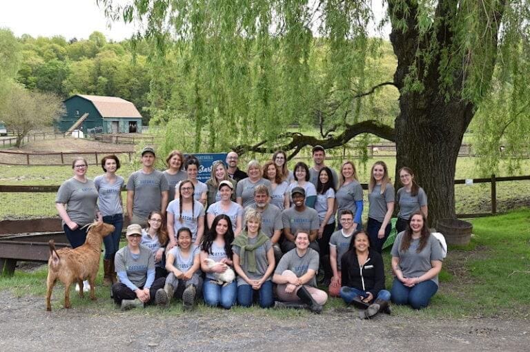 About The Sanctuary | Catskill Animal Sanctuary