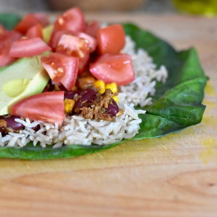 Smoky Jackfruit Collard Green Burritos – Catskill Animal Sanctuary