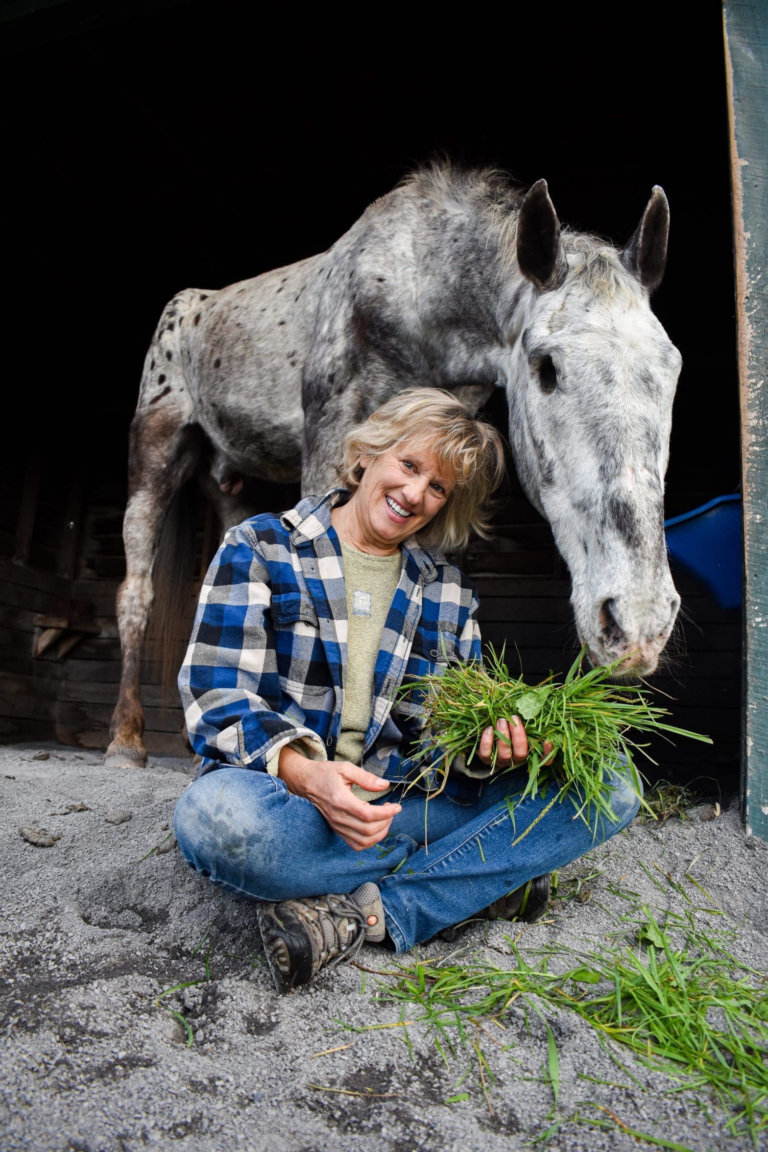 Welcome New Rescue Buddy, A 31-Year-Old Blind Horse - Catskill Animal ...