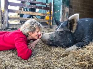 Catskill Animal Sanctuary