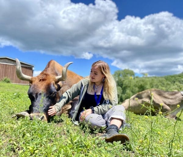 Visit The Sanctuary – Catskill Animal Sanctuary